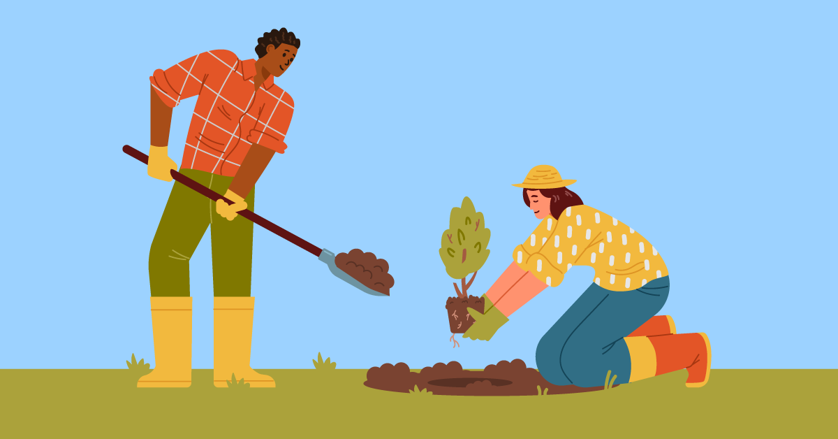 Smart spring planting means right tree, right place